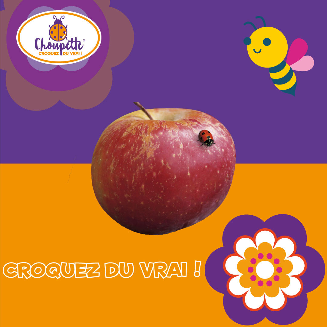 Actualités - Choupette